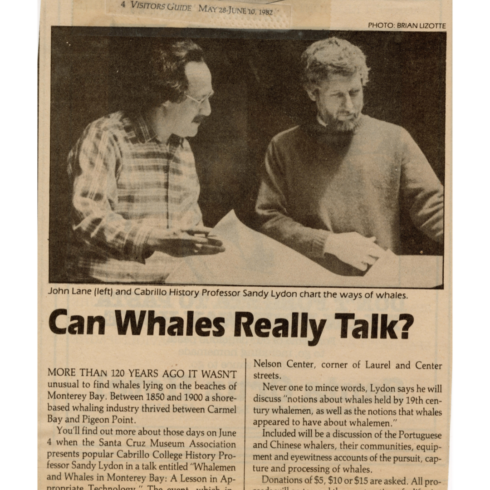 A Tail of Epic Proportions: The Story of the Iconic Seabright Whale ...