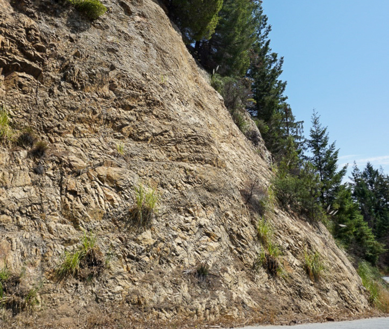 Rock Types of Santa Cruz County - Santa Cruz Museum of Natural History