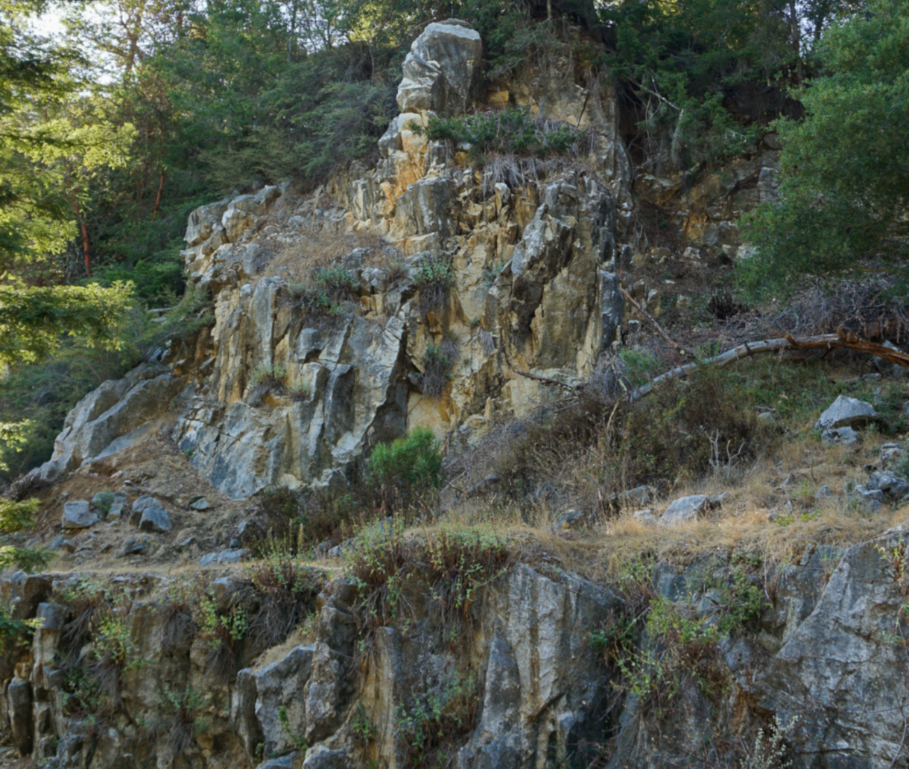 Rock Types of Santa Cruz County - Santa Cruz Museum of Natural History