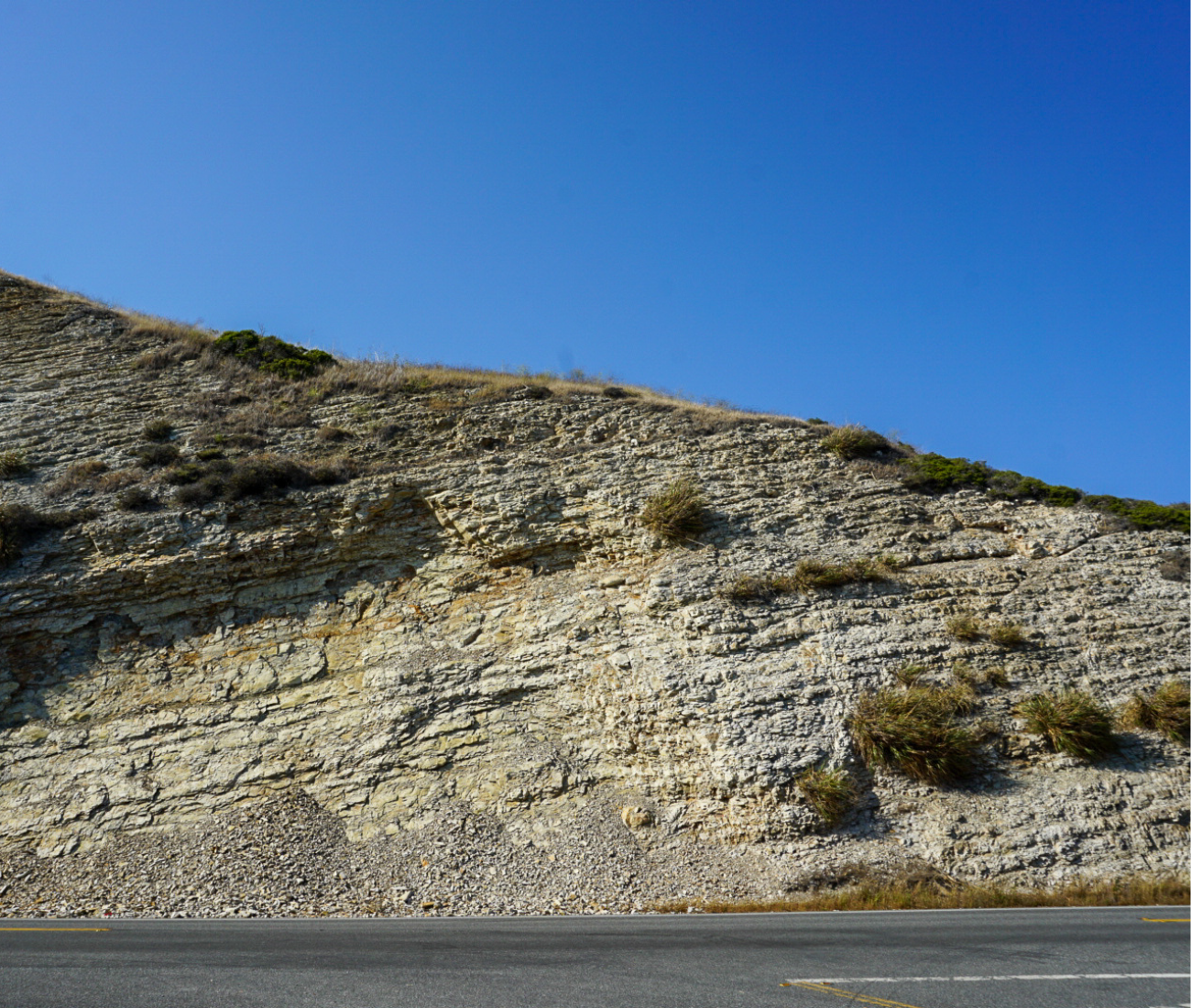 Rock Types of Santa Cruz County - Santa Cruz Museum of Natural History