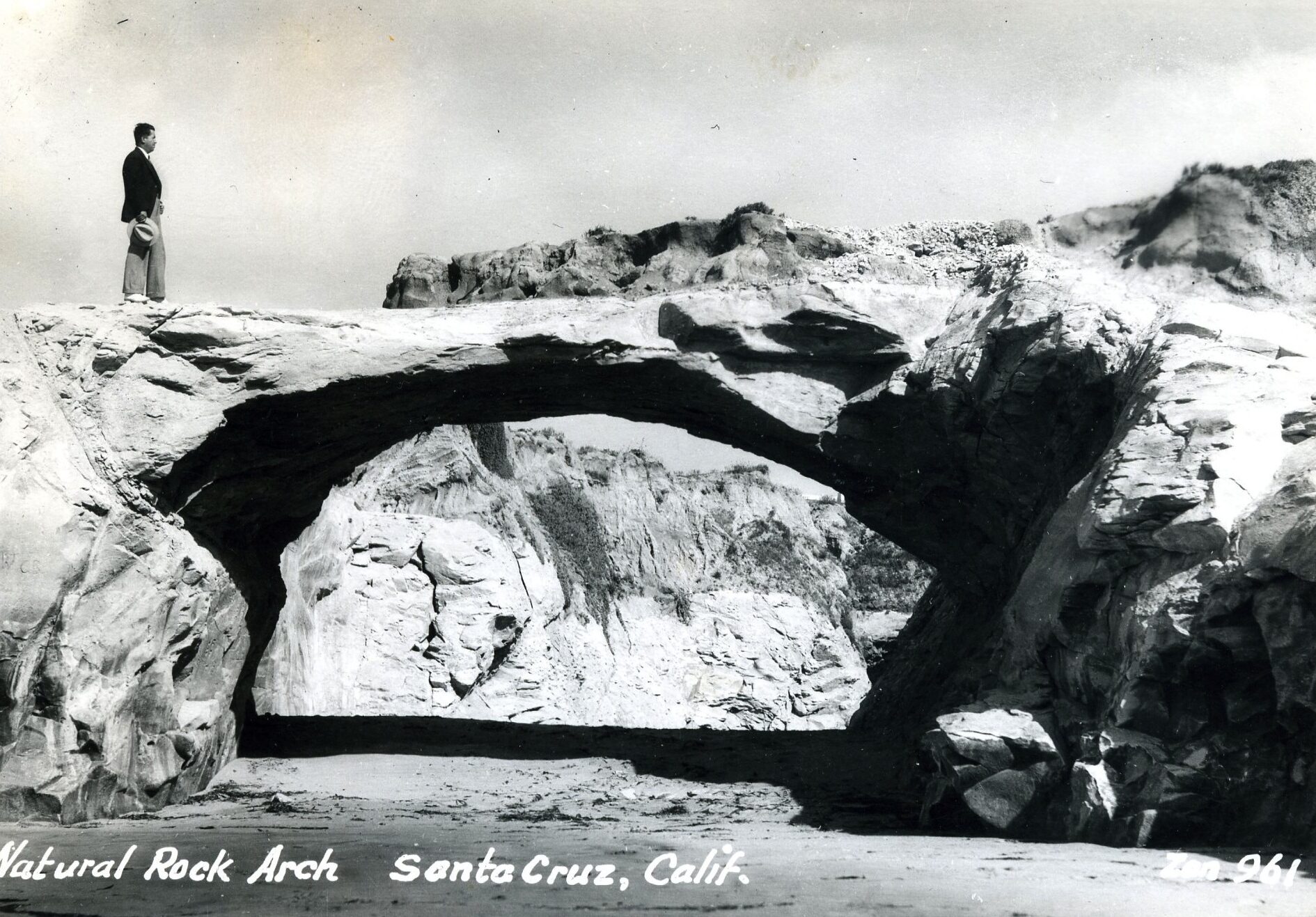 Santa Cruz Geology and Paleontology - Santa Cruz Museum of Natural History