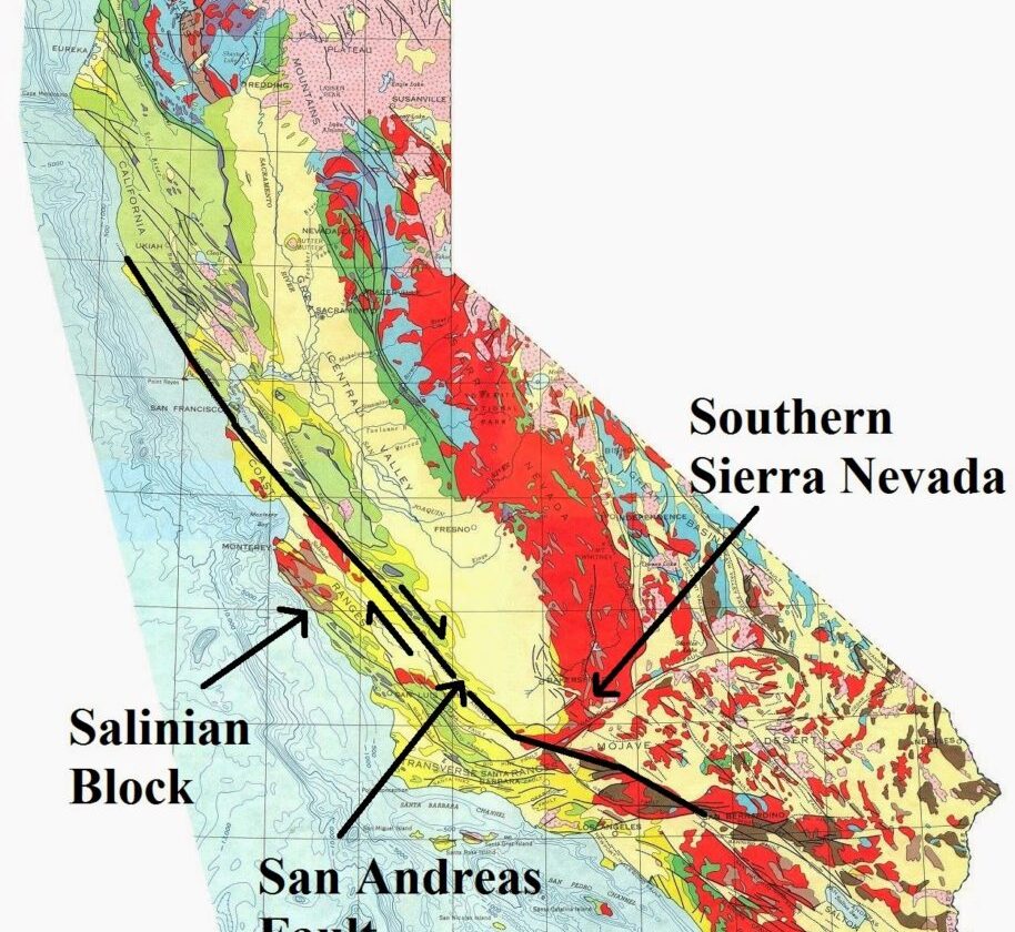 Natural History in the Palm of your Hand - Santa Cruz Museum of Natural ...