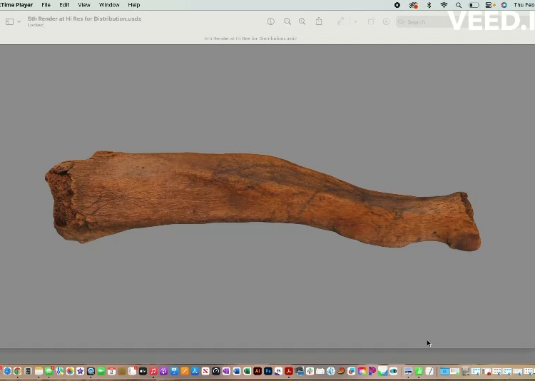 Prehistoric Sloth, Present-Day Discovery - Santa Cruz Museum of Natural ...