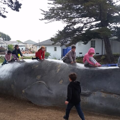A Tail of Epic Proportions: The Story of the Iconic Seabright Whale ...