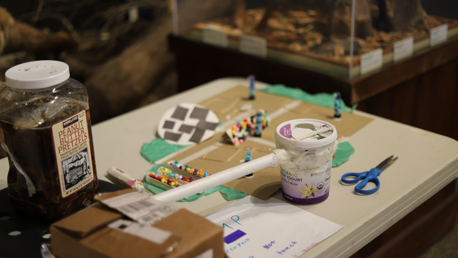 Afterschool Activities: Environmental Science Workshop - Santa Cruz ...